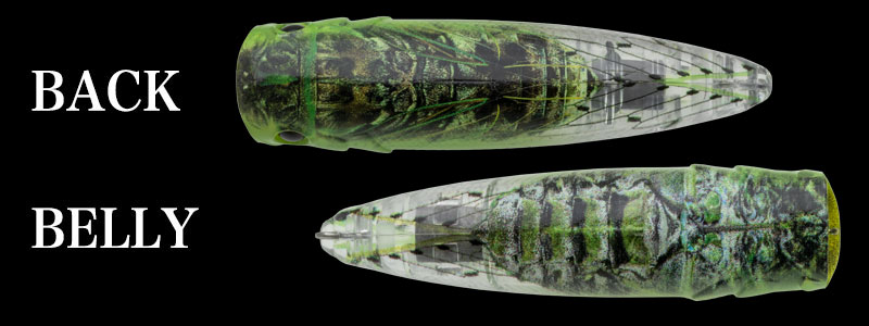 TOUGH BUG | BASS | NORIES